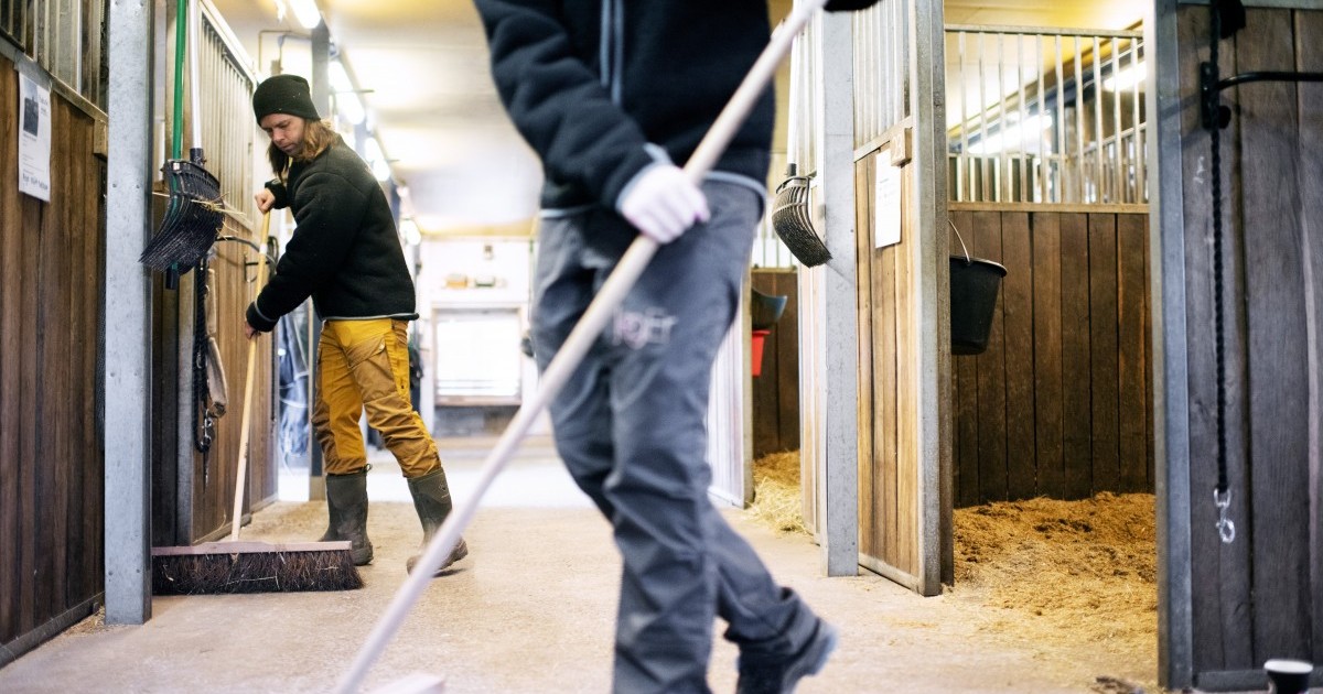 Stall | Jegersberg gård